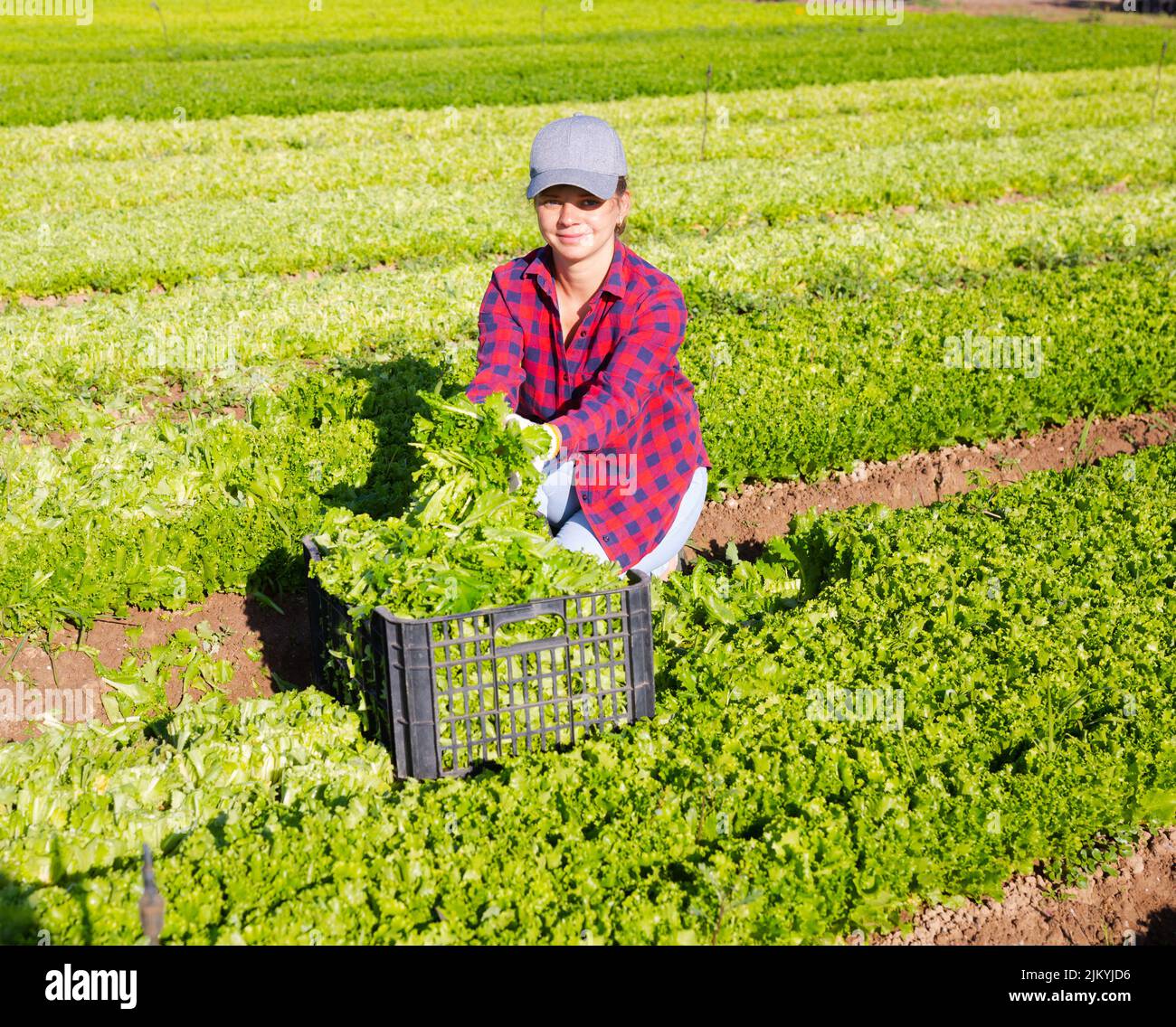 German peasant girl hi-res stock photography and images - Alamy