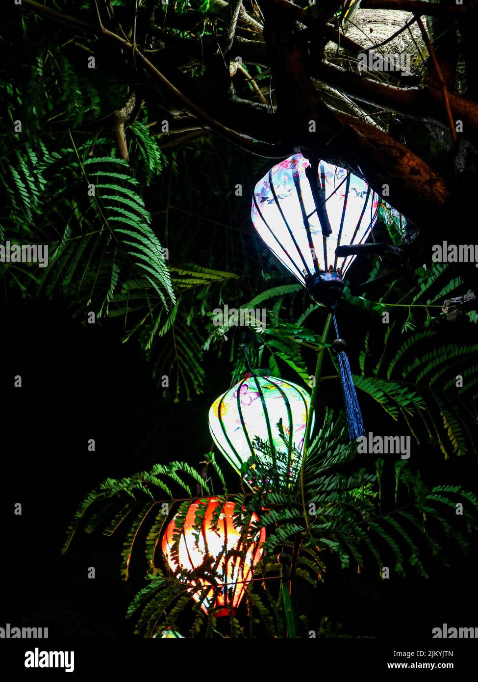 A view of glowing colorful lanterns hanging from tree Stock Photo - Alamy