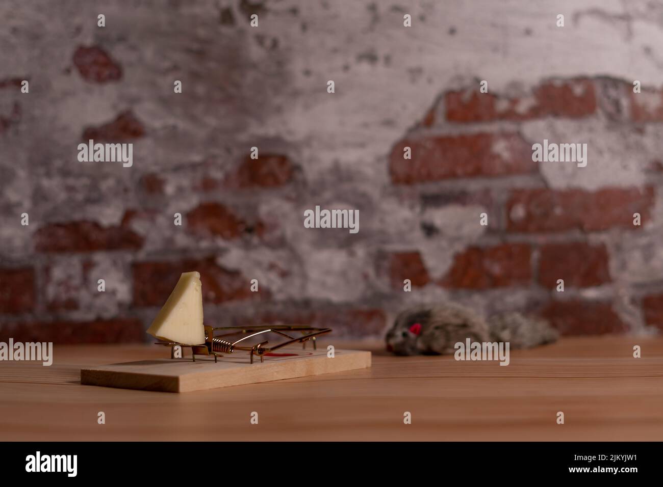 mouse trap with cheese and toy mouse approaching, on wooden floor and ...