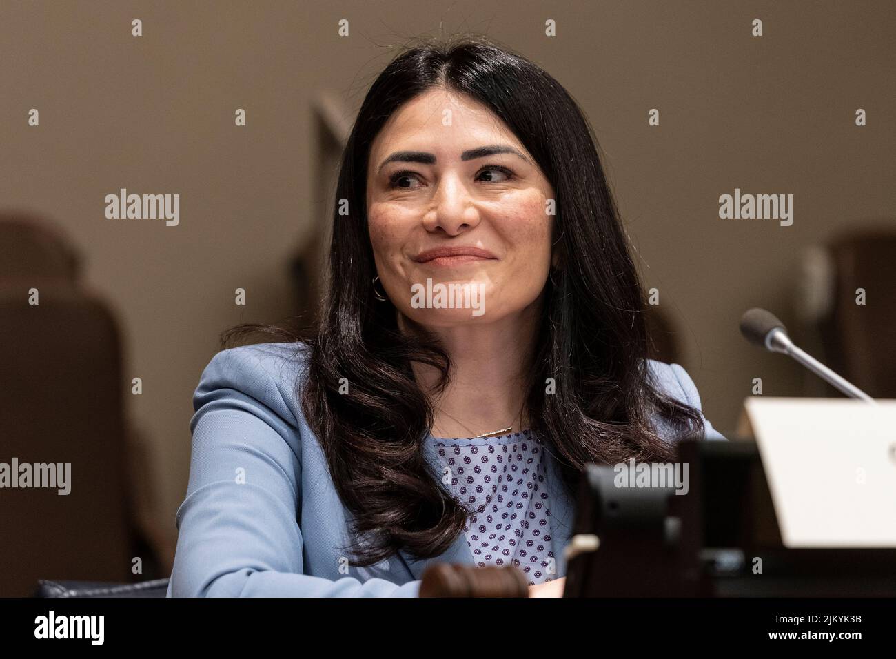 Ambassador Maritza Chan attends panel The Role of Diversity in ...