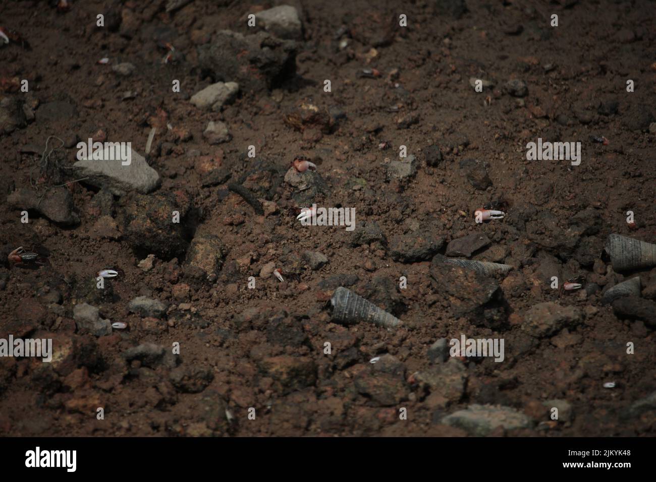 Dirty environment hi-res stock photography and images - Alamy