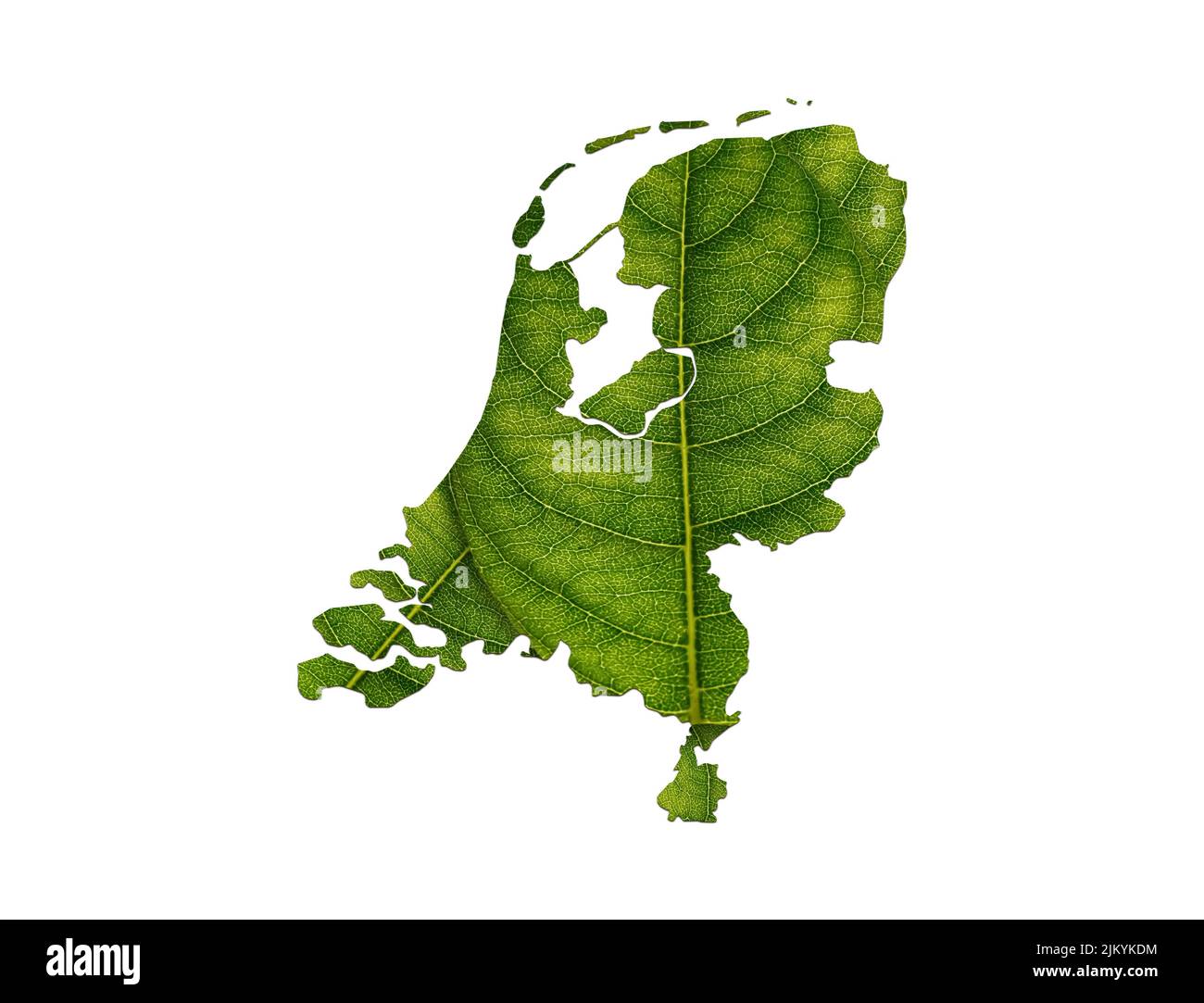Netherlands map made of green leaves on soil background ecology concept ...