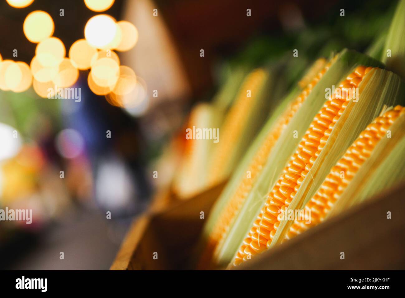 Golden corn displayed in farm market Stock Photo - Alamy