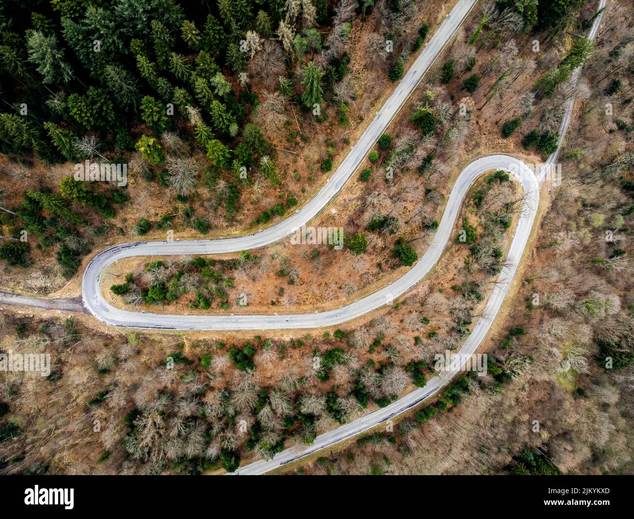 A top aerial view of a long winding road surrounded by fir trees Stock ... A top aerial view of a long winding road surrounded by fir trees Stock ...