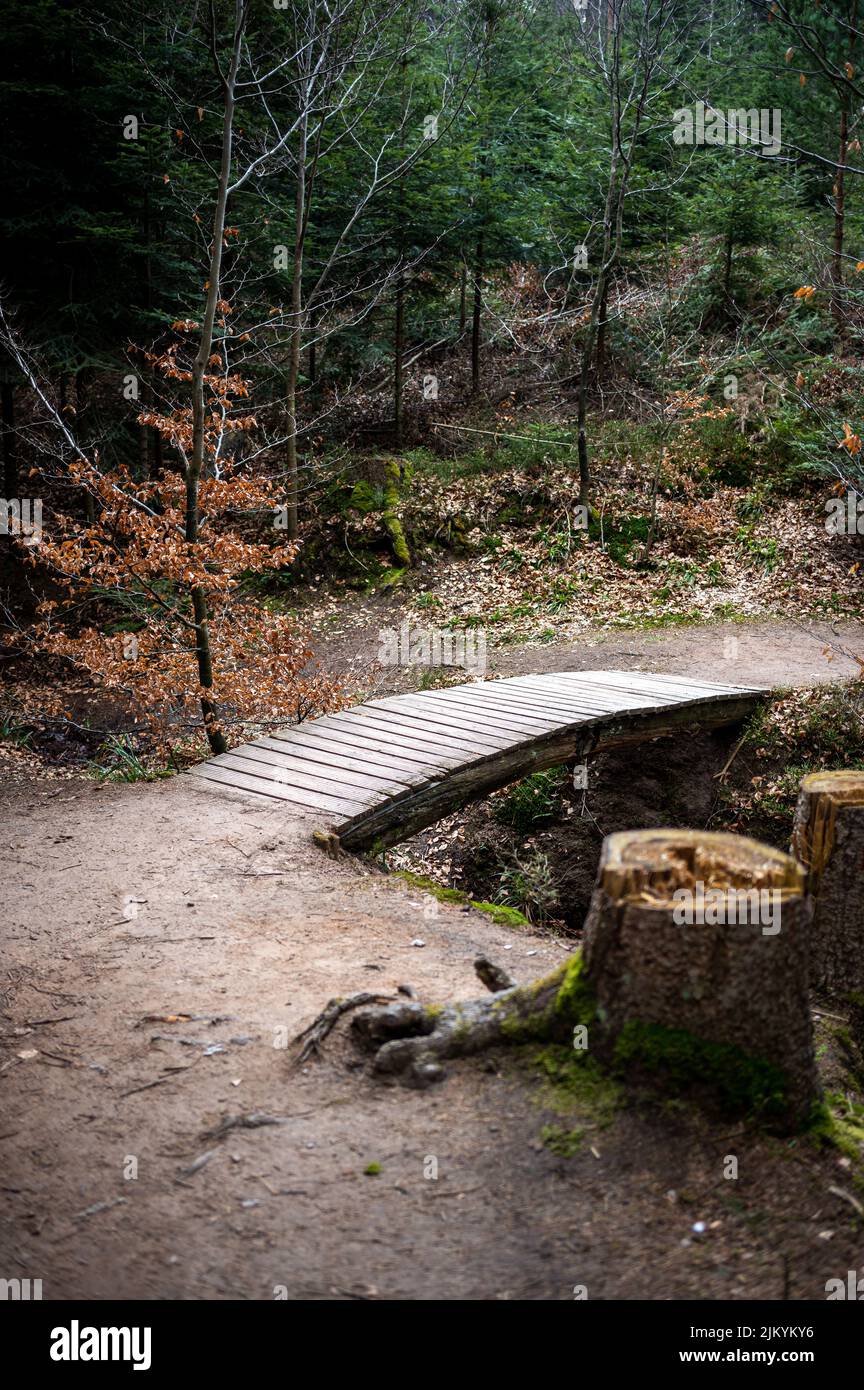 A vertical view of a small wooden bridge in the forest during autumn ...