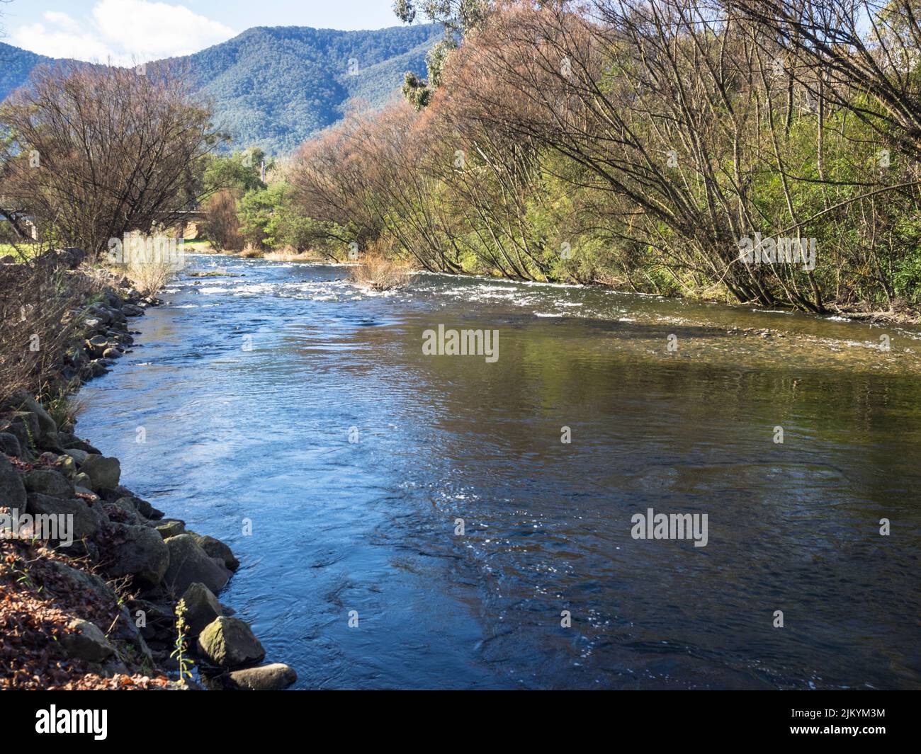 Kiewa River above Ryders Bridge, Tawonga with Mount Bogong in the ...