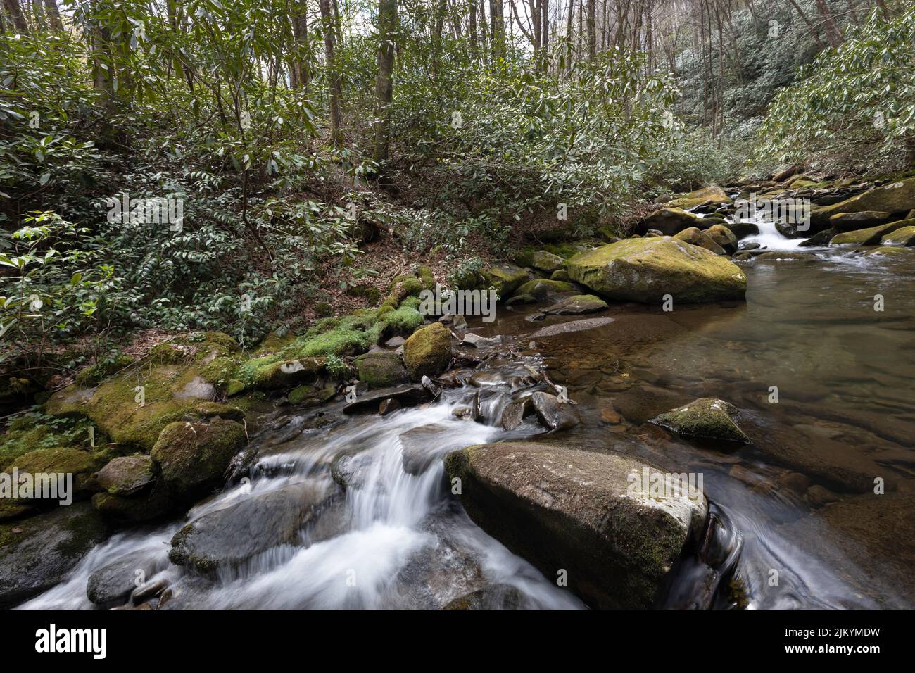 Scenic cascade landscape from the Middle Prong Trail in the Great Smoky ...