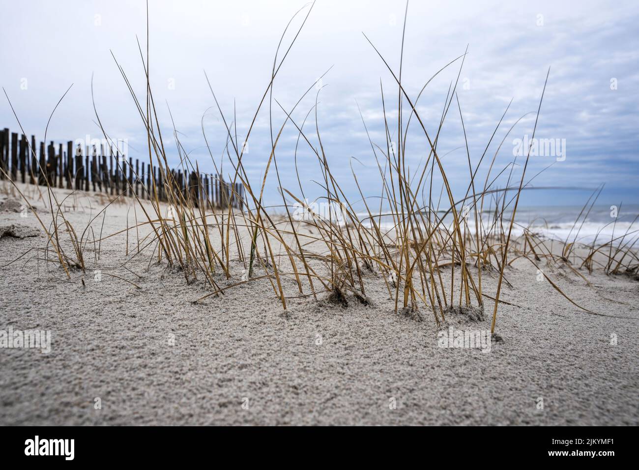 Tranquil bay dry grass hi-res stock photography and images - Alamy