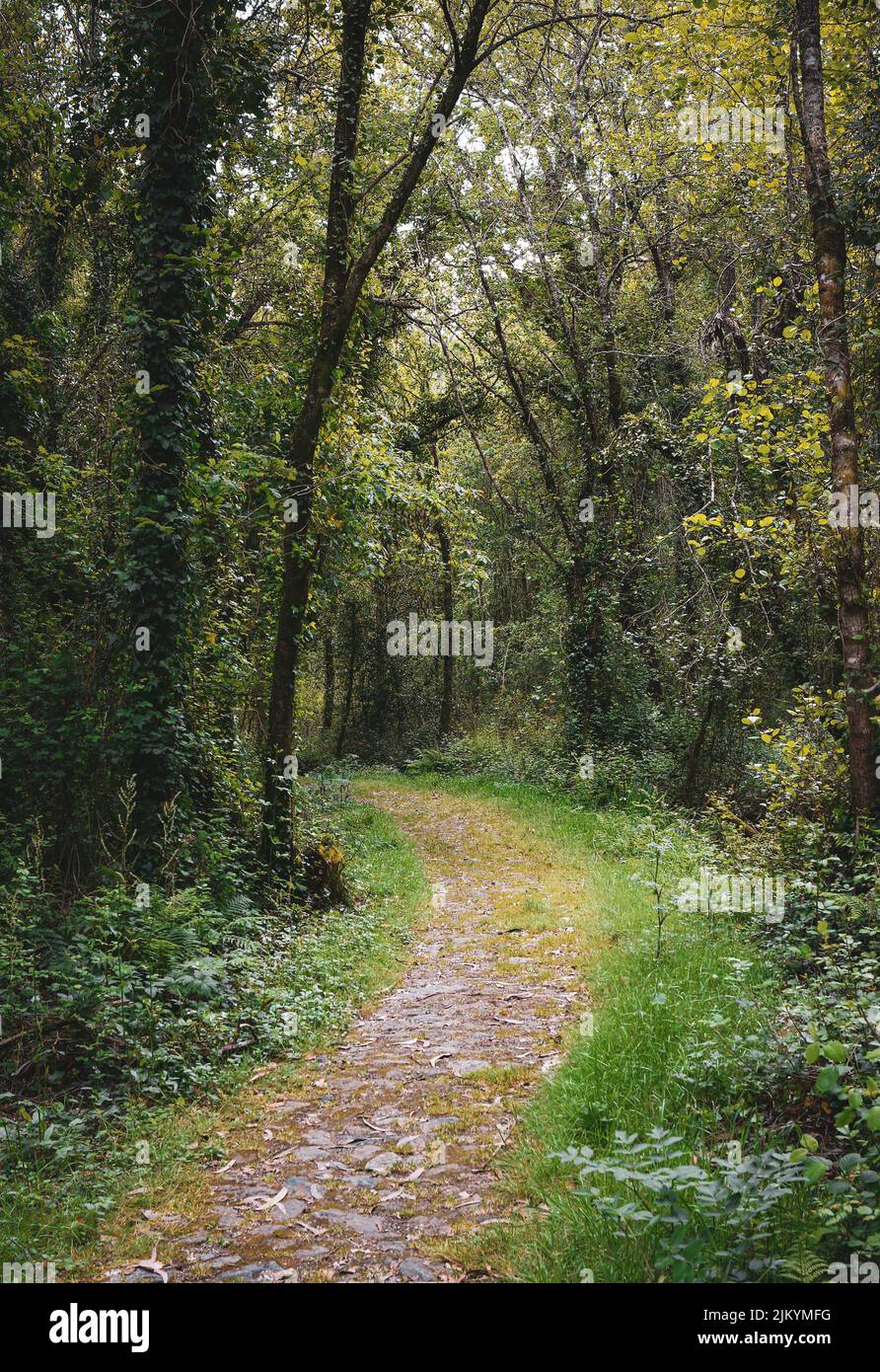 Path pathway road hi-res stock photography and images - Alamy