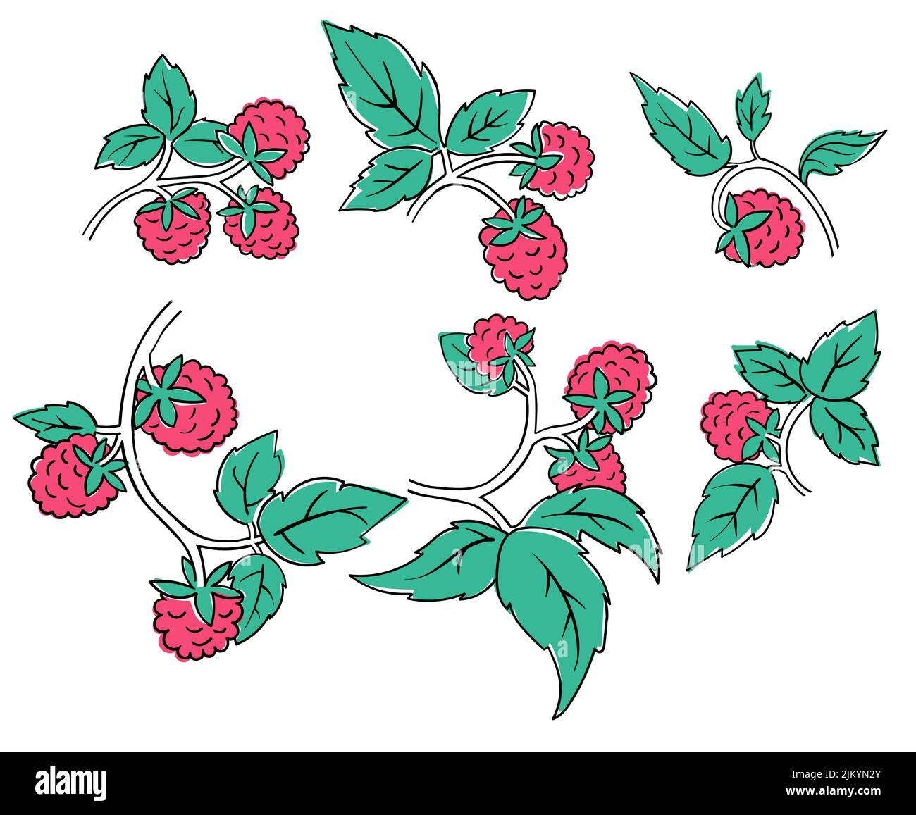 Raspberry Coloring Book elements. Black countour on white background ...