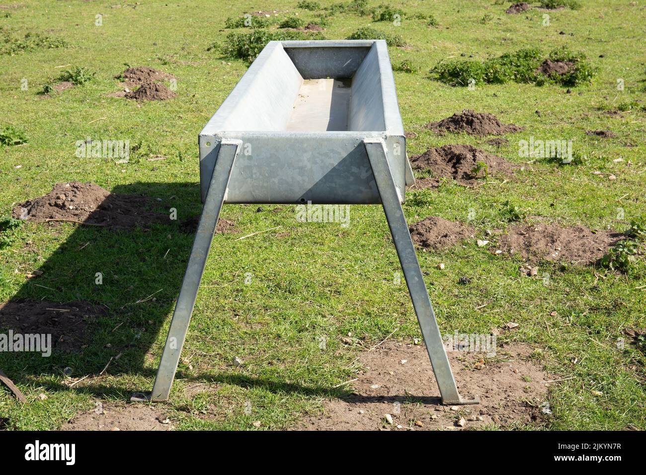 High galvanised animal trough in Spring pasture with nettles and mole ...