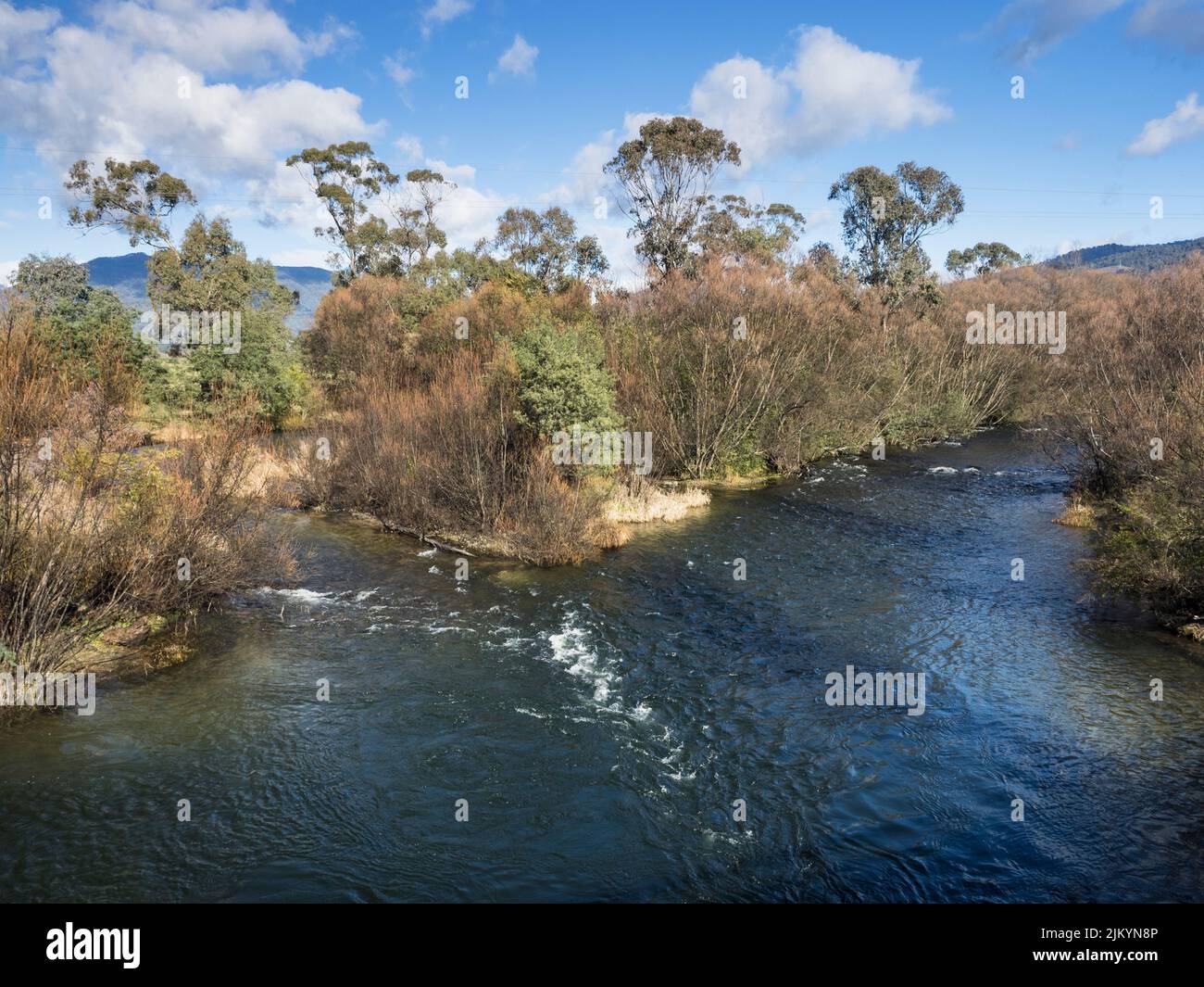 Confluence of two strands of the Kiewa River near Ryders Bridge ...