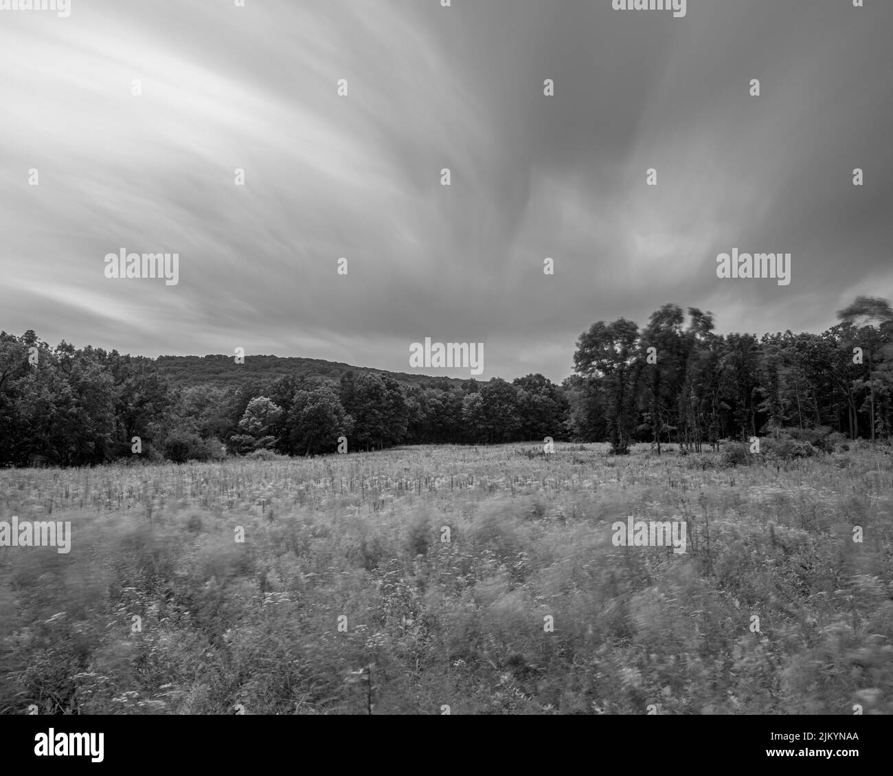 A grayscale of a field with trees and dry grass under the cloudy sky ...