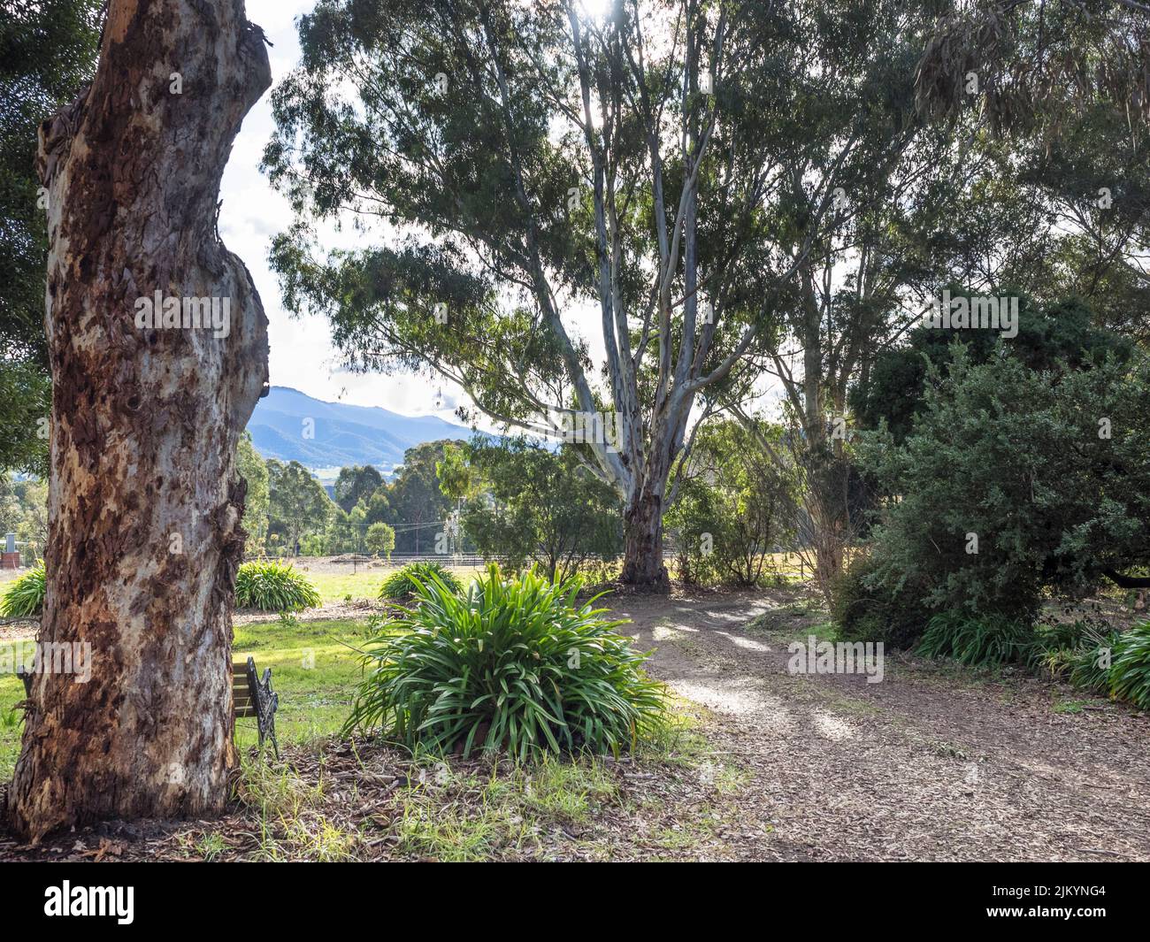 Australian native garden and farmland at Tawonga, Kiewa Valley Stock ...