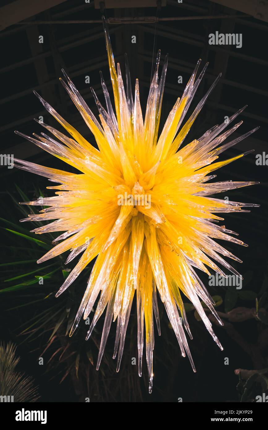 Spiny flower hi-res stock photography and images - Alamy