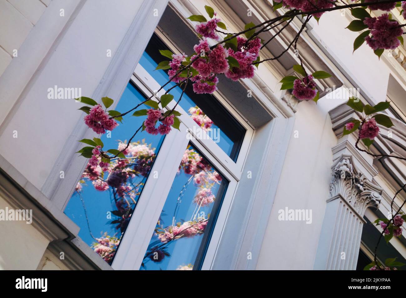 The sakura building hi-res stock photography and images - Alamy