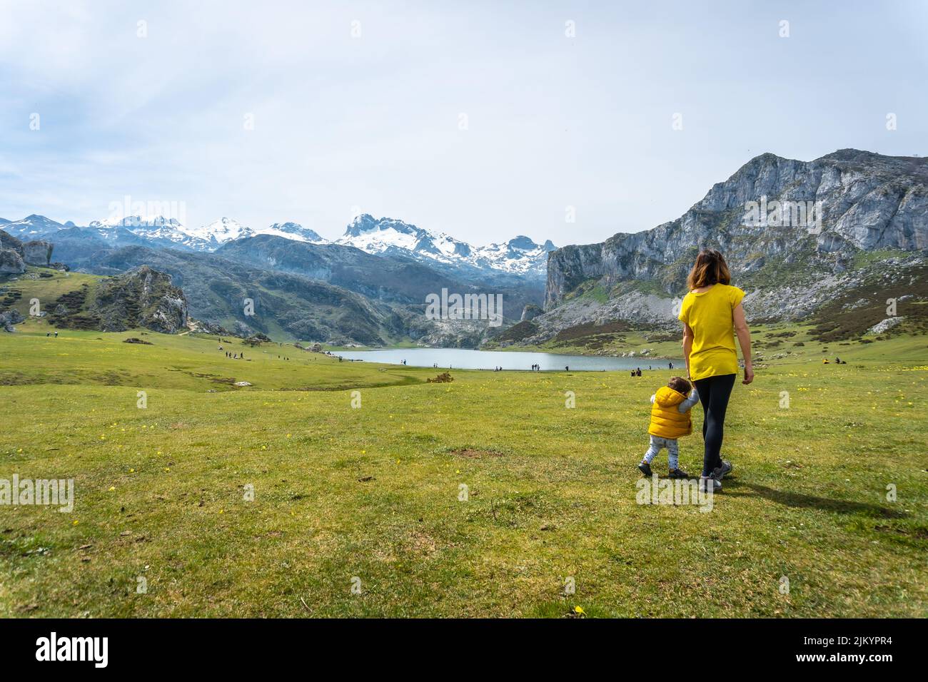 A child taking his first steps in Lake Ercina in spring with yellow ...