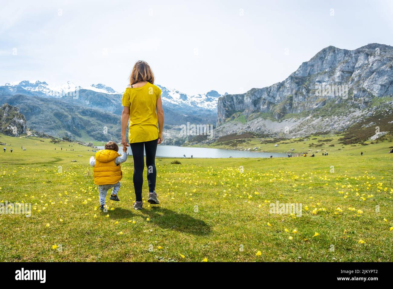 A child taking his first steps in Lake Ercina in spring with yellow ...