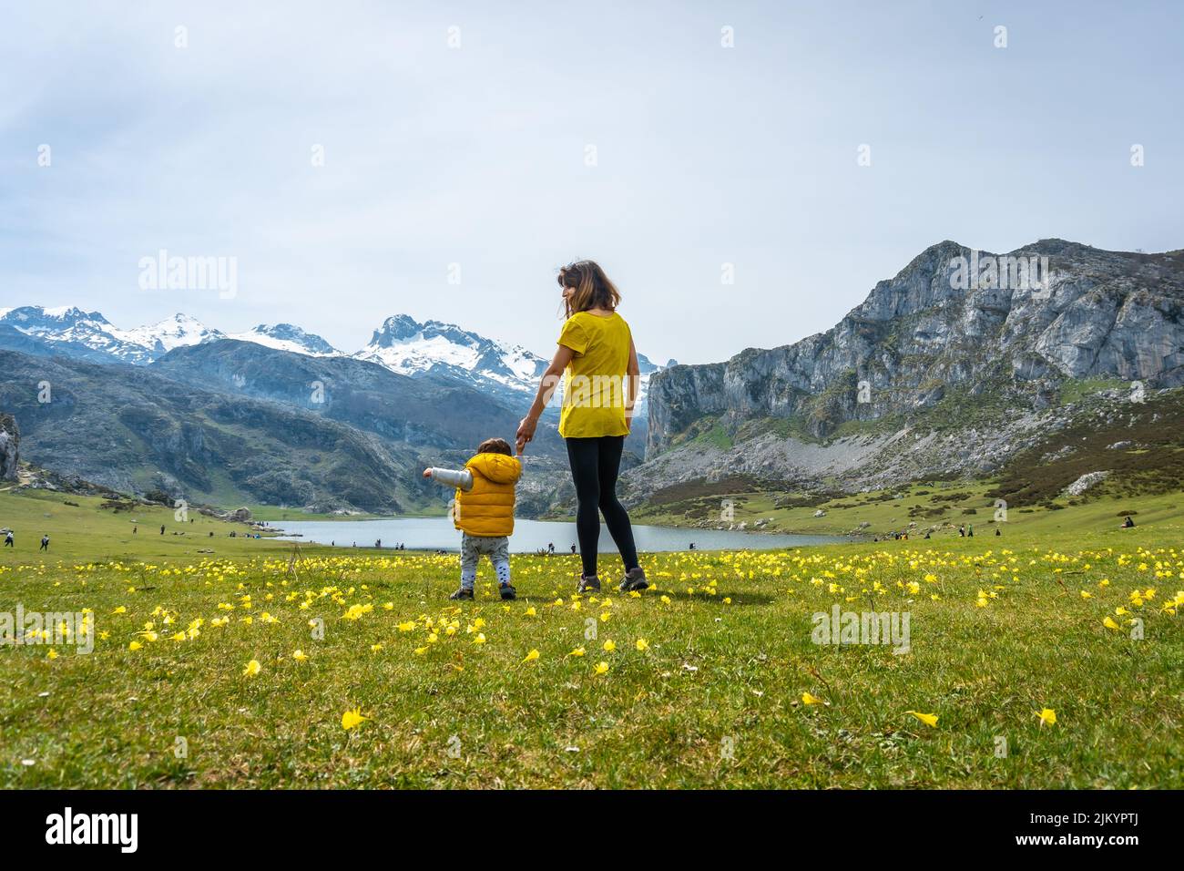 First steps of a baby in Lake Ercina in spring with yellow flowers in ...