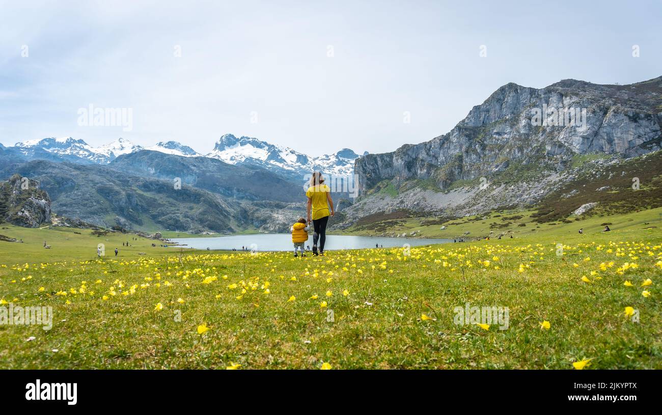 First steps of a baby in Lake Ercina in spring with yellow flowers in ...
