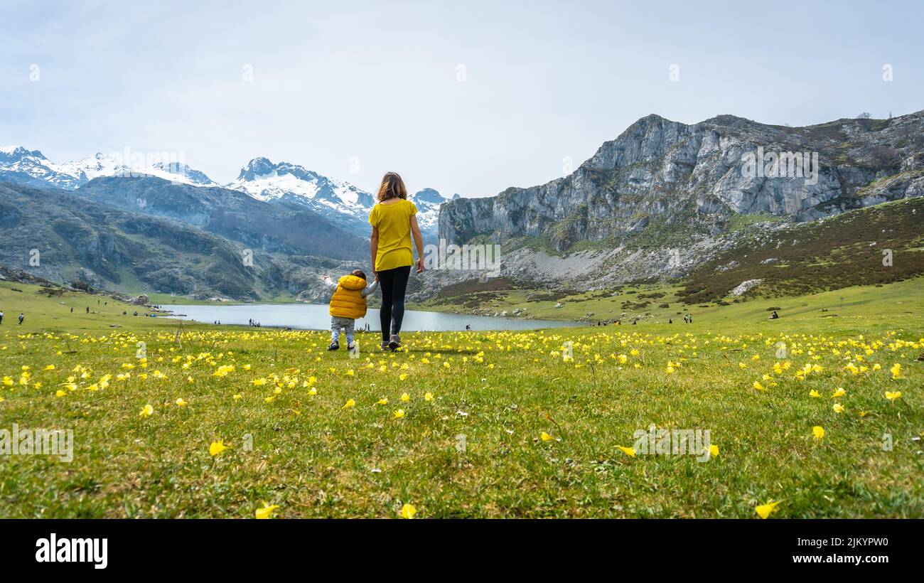 Picos de europa spring flowers hi-res stock photography and images - Alamy