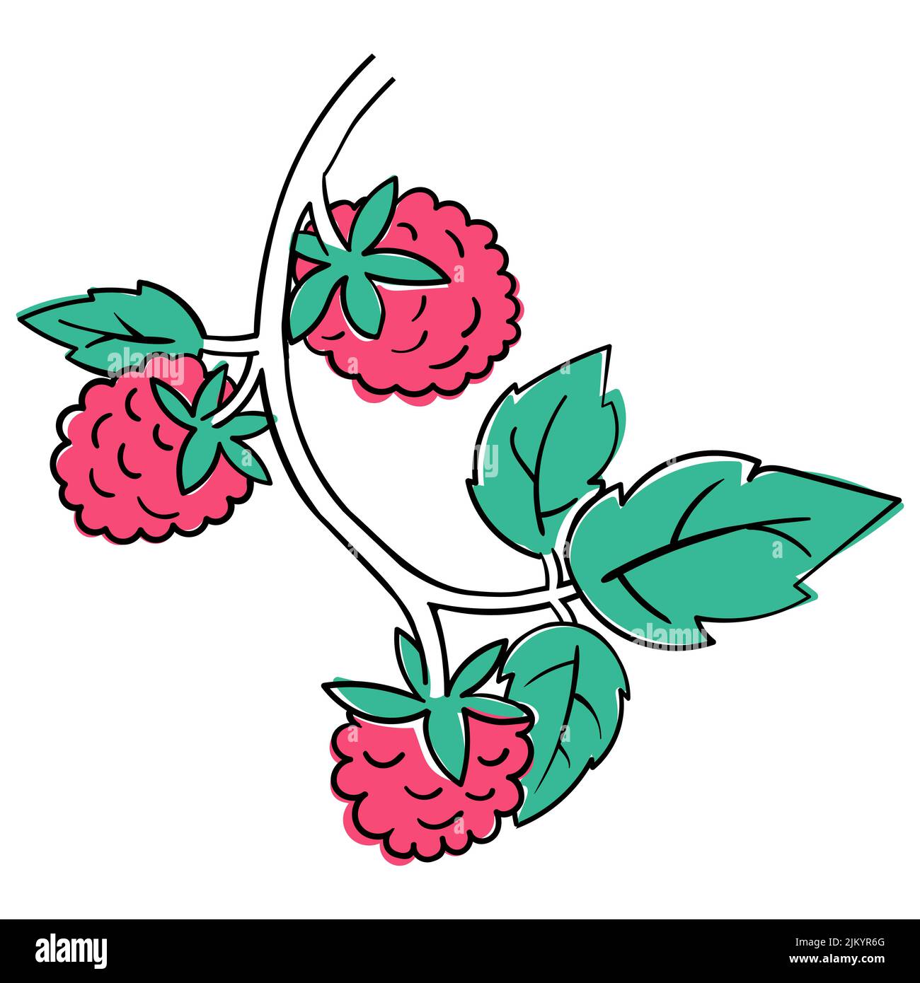 Raspberry Coloring Book elements. Black countour on white background ...