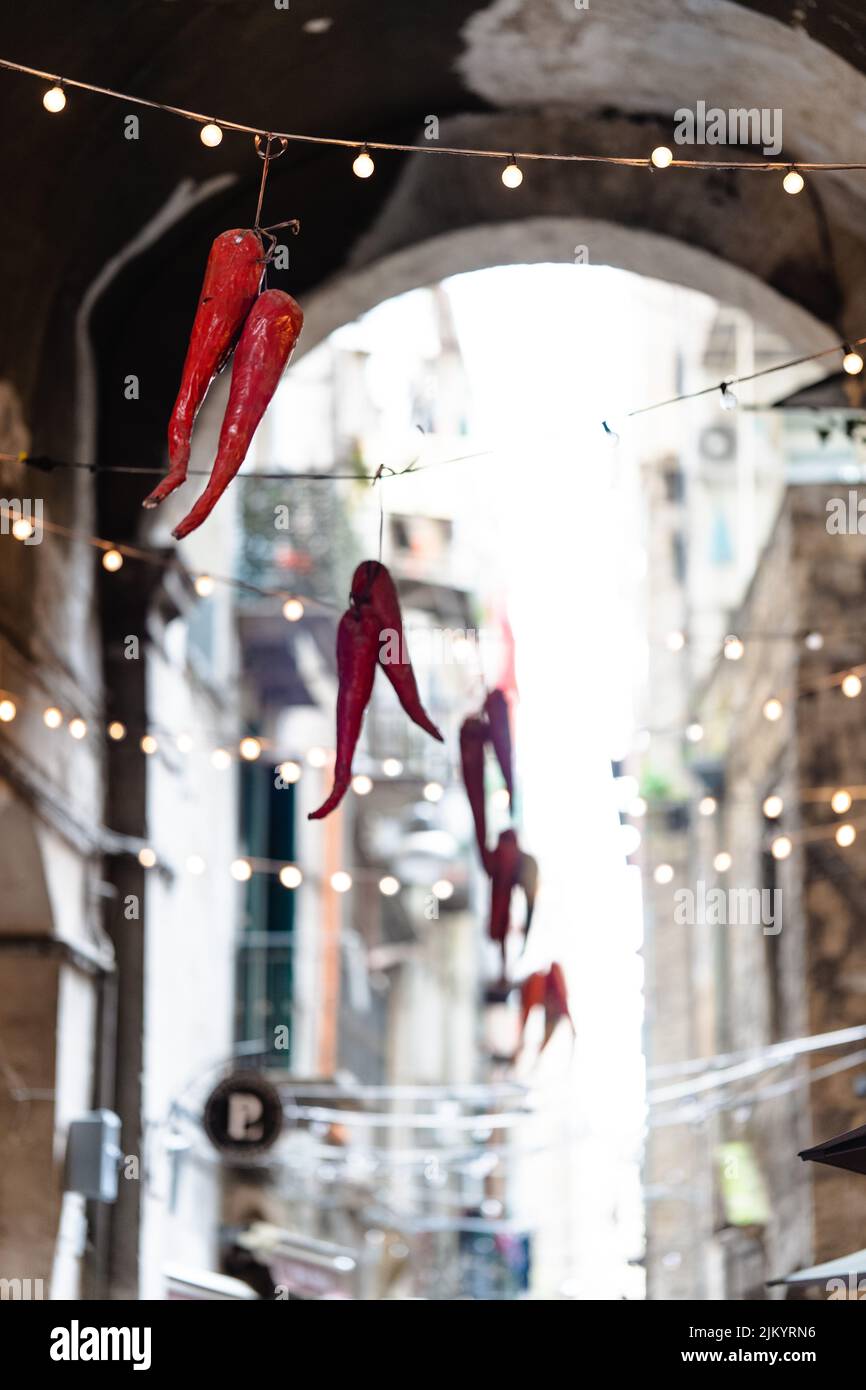 A vertical shot of dried chili peppers hanging on string lights in an ...
