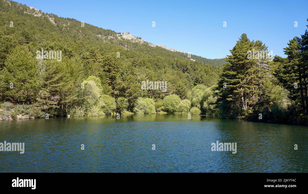 landscape of a forest with a lagoon and in the background a mountain ...