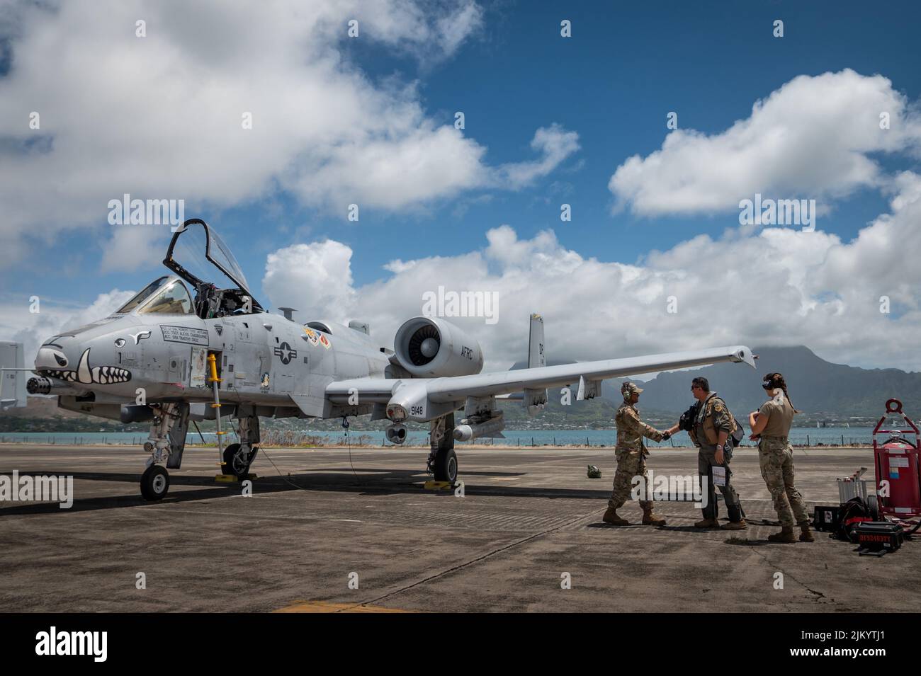 More than 200 Airmen and 10 A-10 Thunderbolt II Warthogs from the 924th ...