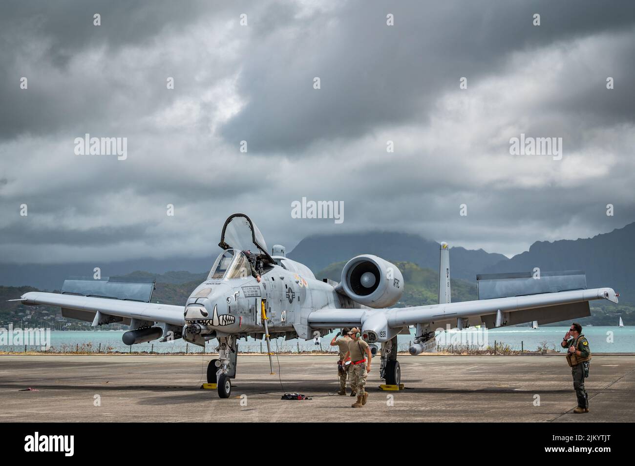 More than 200 Airmen and 10 A-10 Thunderbolt II Warthogs from the 924th ...