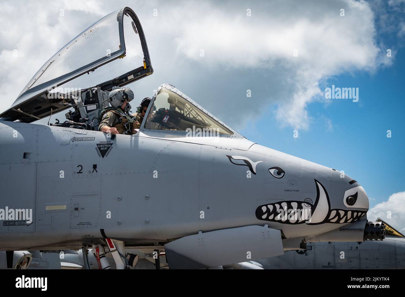 More than 200 Airmen and 10 A-10 Thunderbolt II Warthogs from the 924th ...
