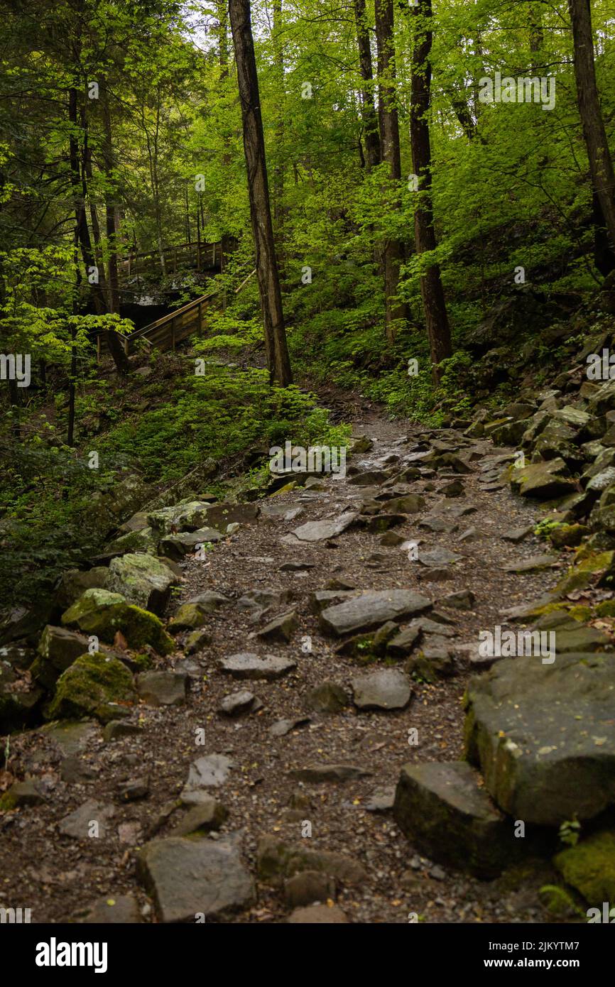 The rocky forest path in the mountain of Chattanooga, Tennessee Stock ...