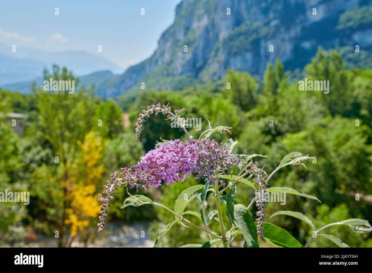 Countryside, farmland and forest - close to Lyon, France. A series of ...