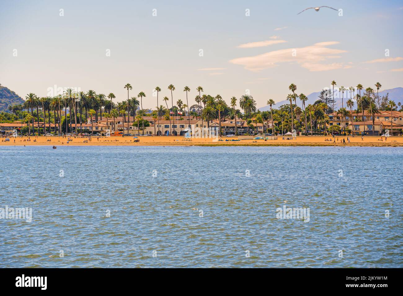 Santa Barbara beach with beautiful palm trees, city architecture in ...