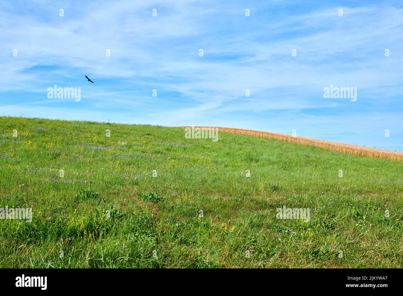 Countryside, farmland and forest - close to Lyon, France. A series of ...