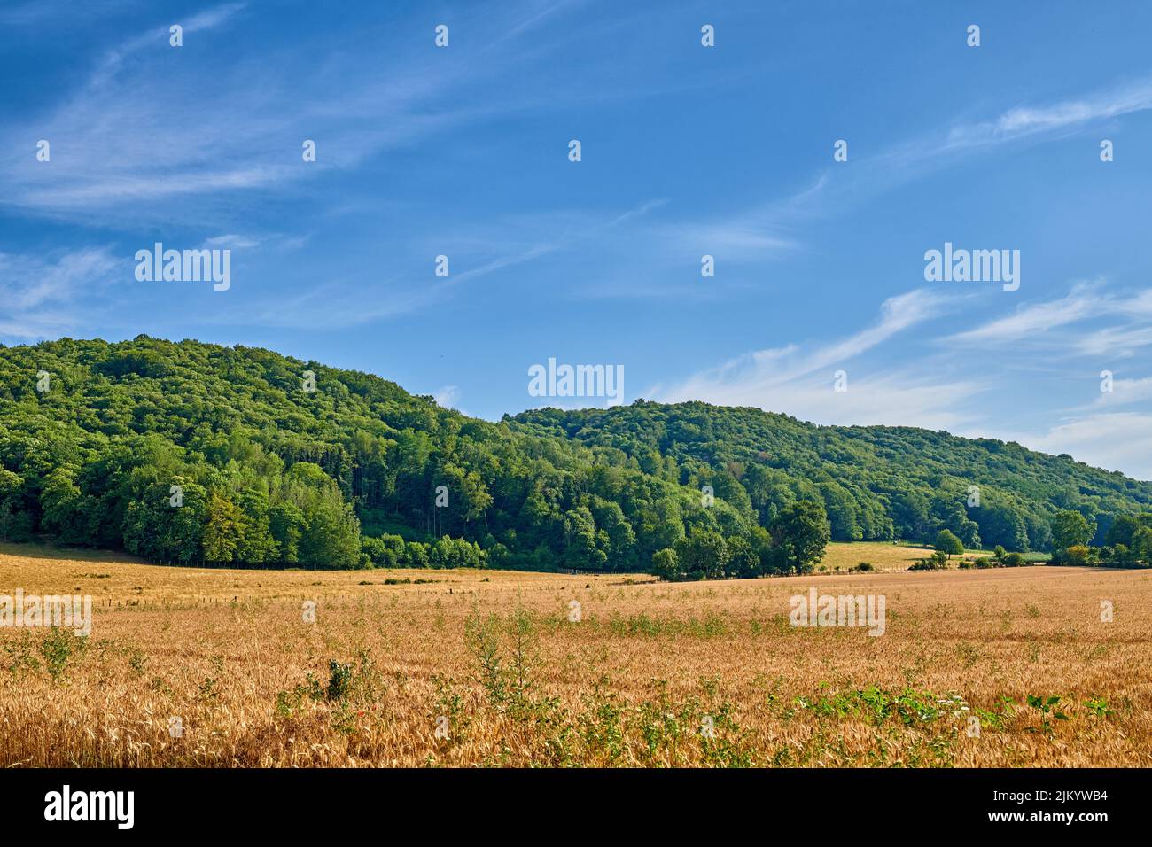 Countryside, farmland and forest - close to Lyon, France. A series of ...