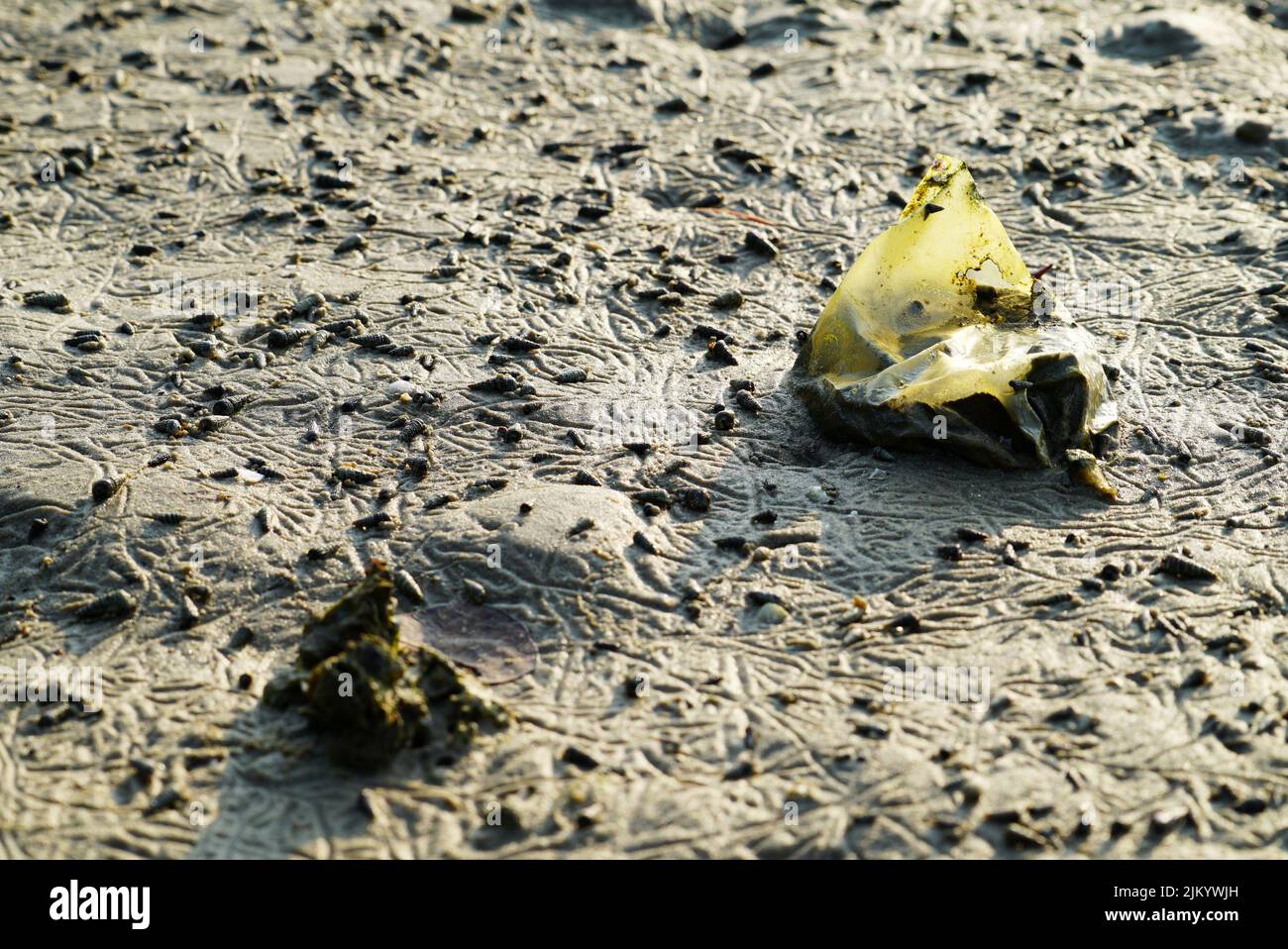 Trash on sand hi-res stock photography and images - Alamy