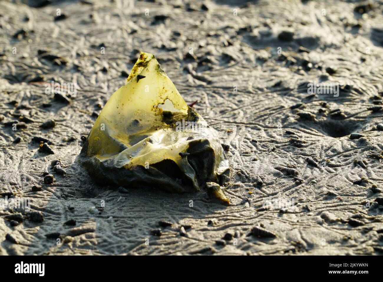 Trash on sand hi-res stock photography and images - Alamy