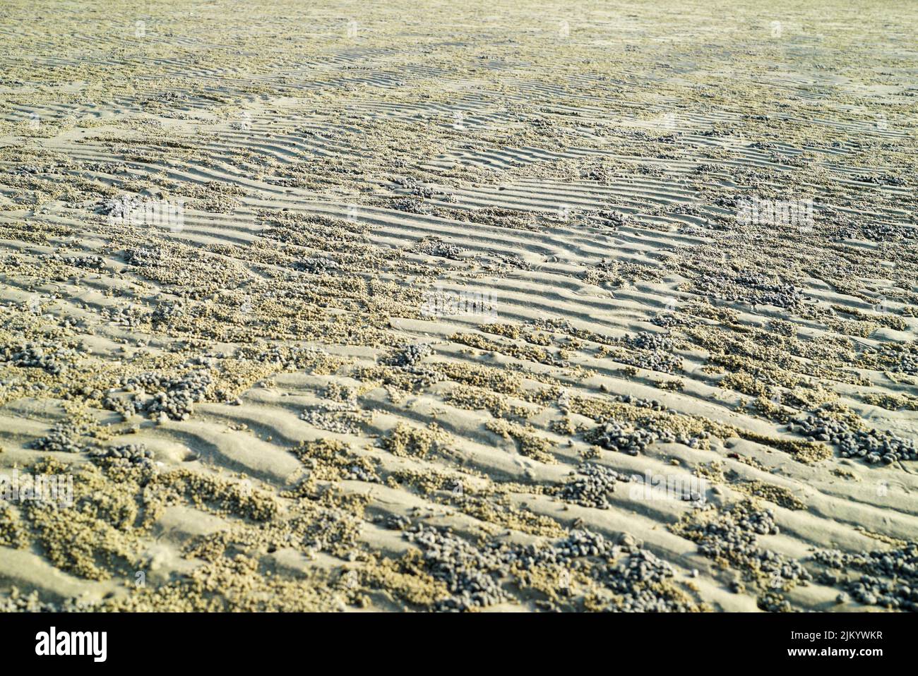 Wavy land hi-res stock photography and images - Alamy