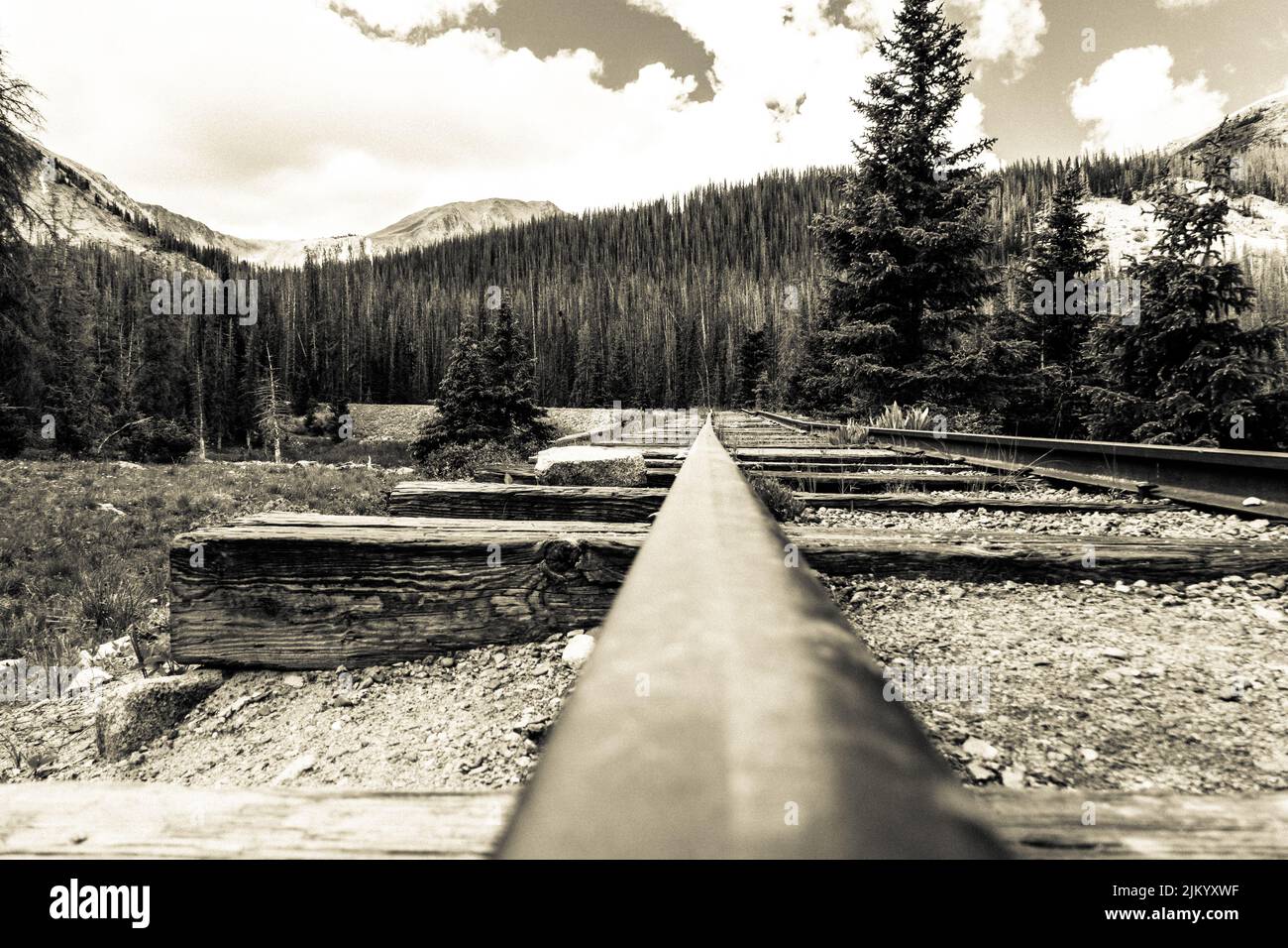 Old, wooden railroad tracks in a rural area with a forest in the ...