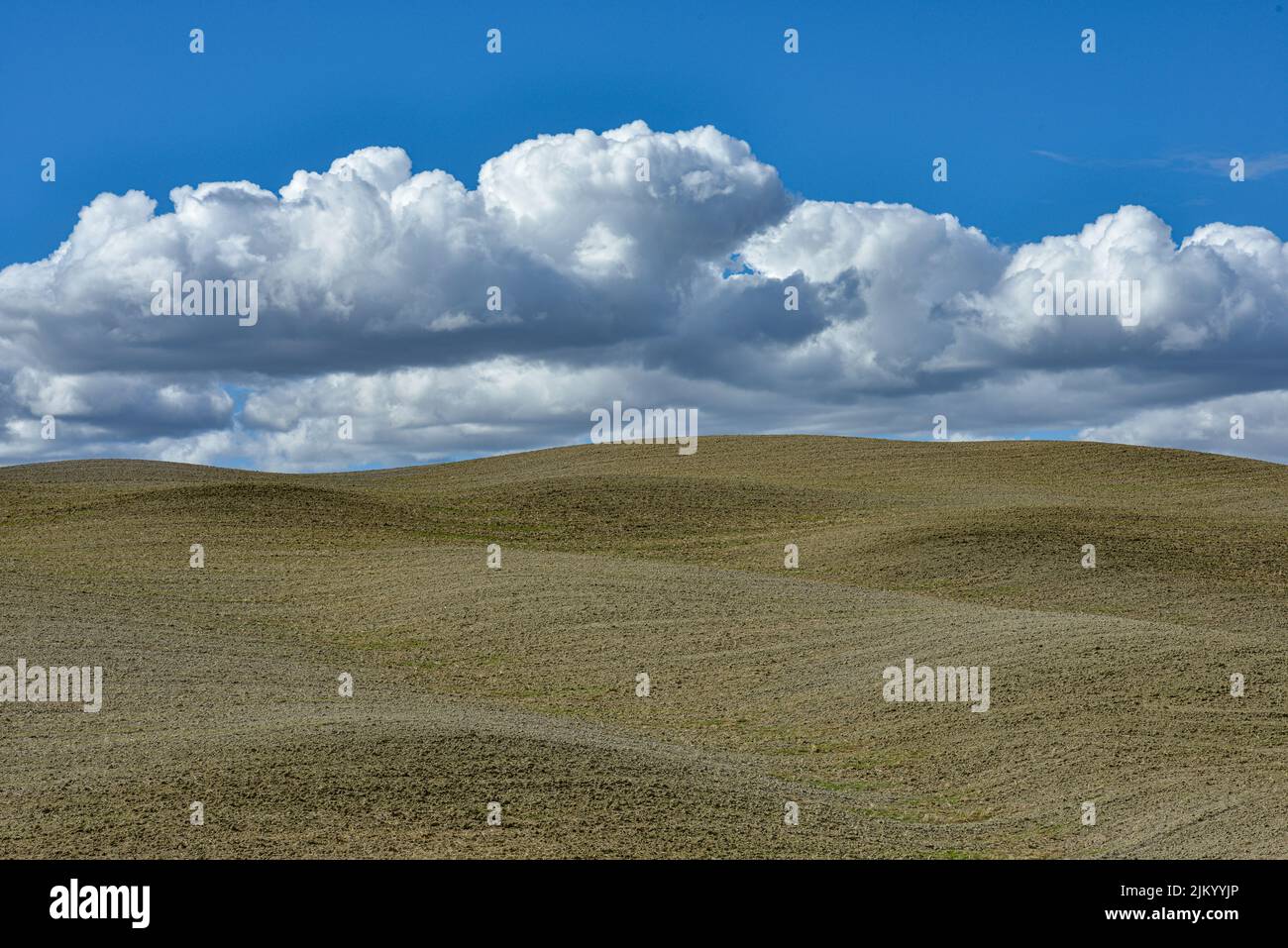 monochromatic and minimalistic landscape in italy Stock Photo - Alamy