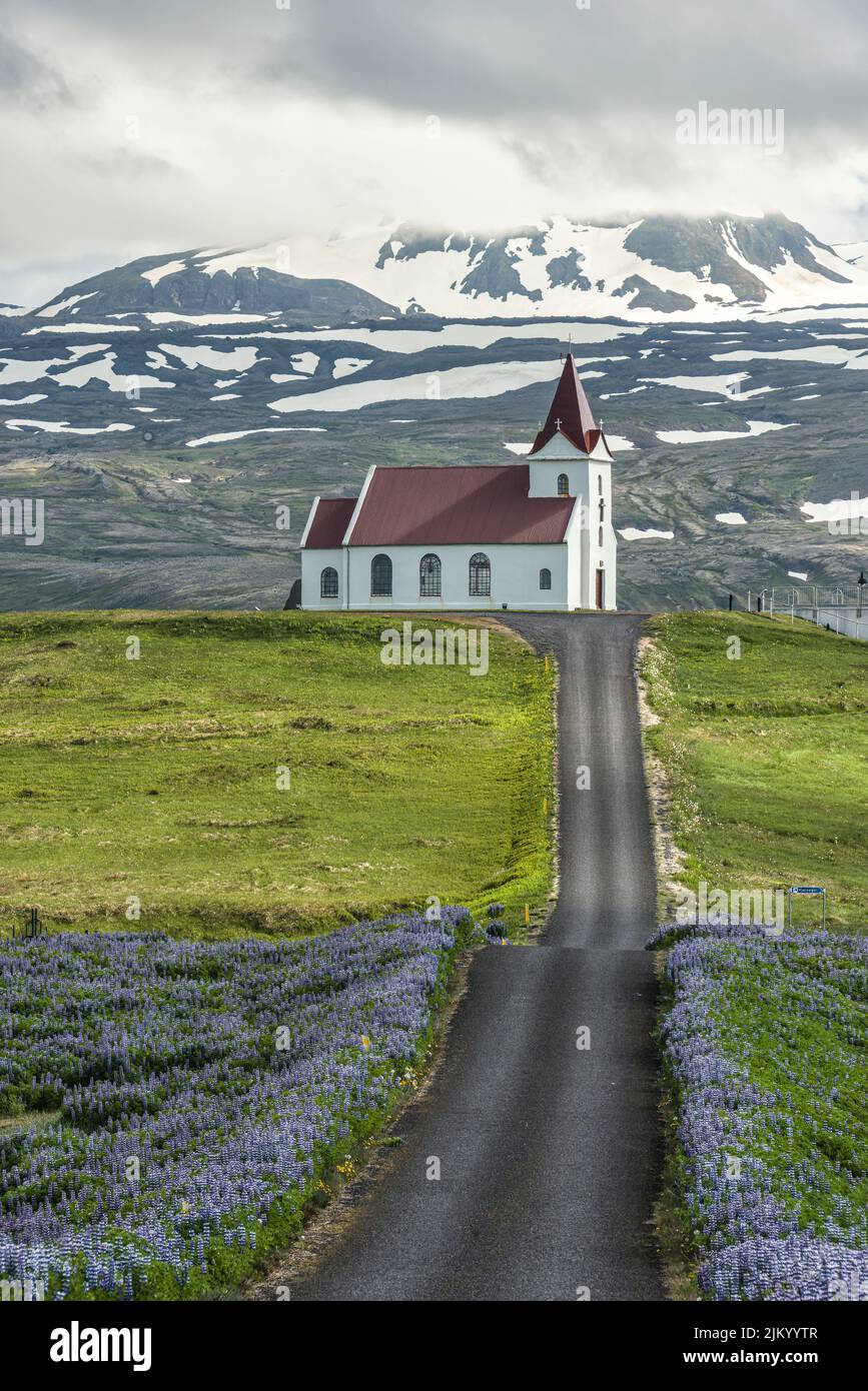 church Iceland during spring green Stock Photo - Alamy