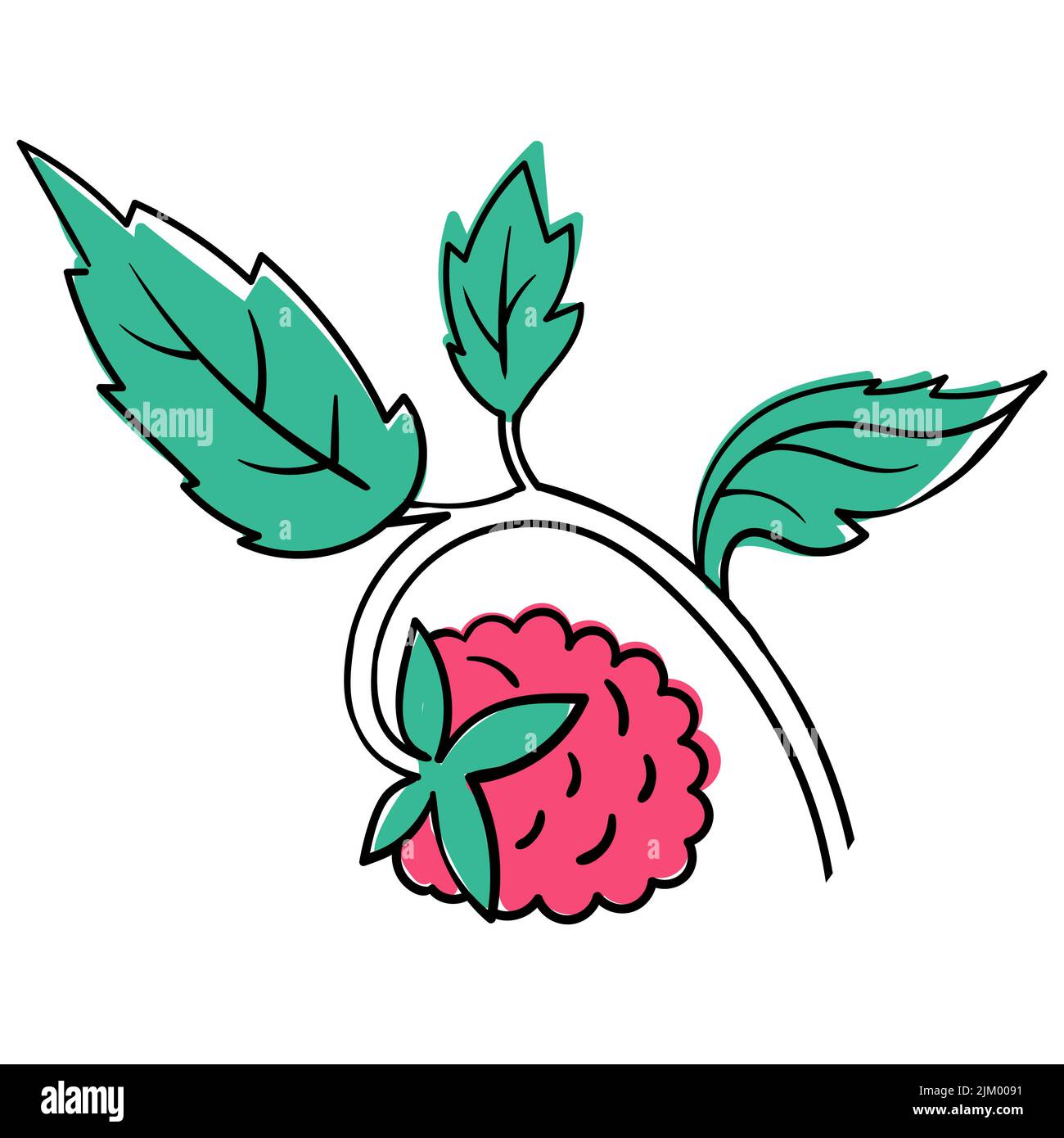 Raspberry Coloring Book elements. Black countour on white background ...