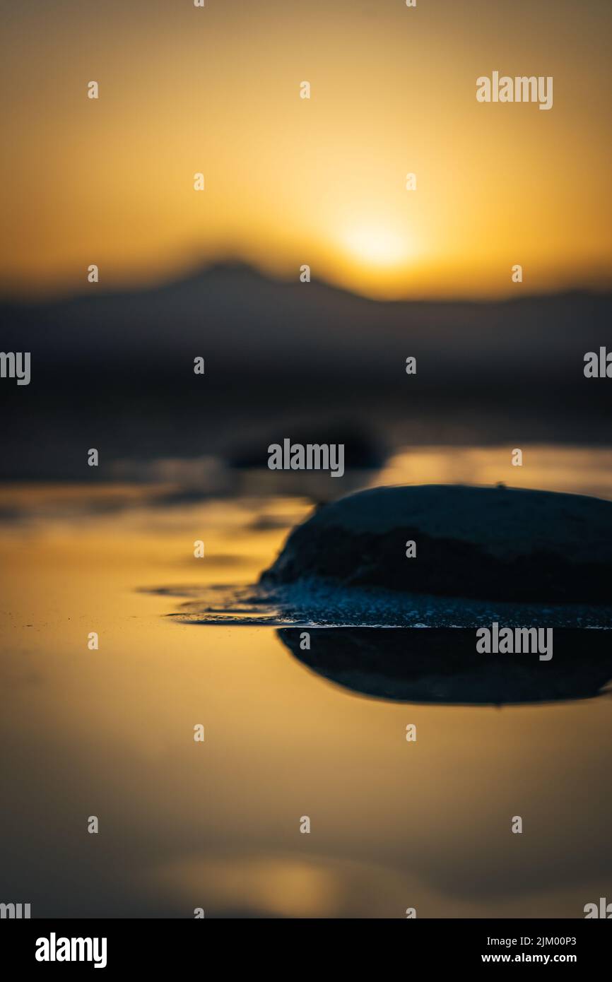 A vertical shallow focus of a rock reflecting on shiny yellow water ...
