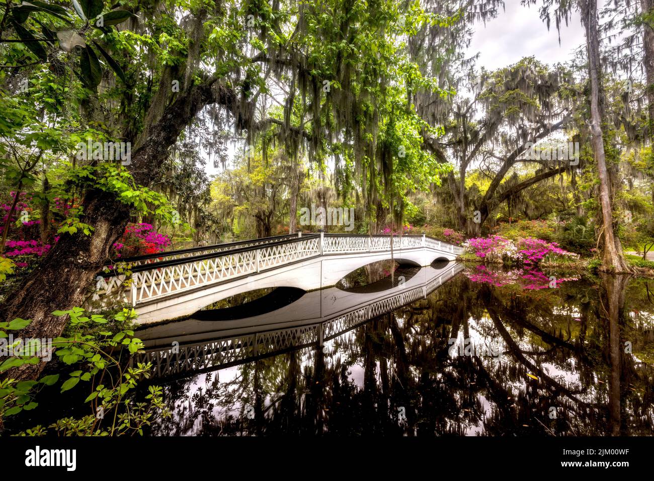 A long white bridge over a pond at the Magnolia Plantation in ...