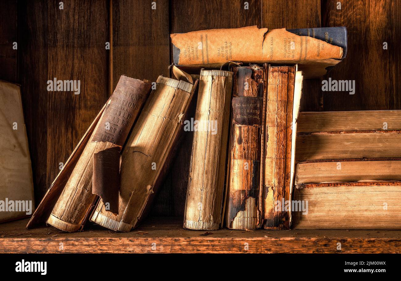 The abandoned books in the Cossitt Library in Memphis, Tennessee Stock ...