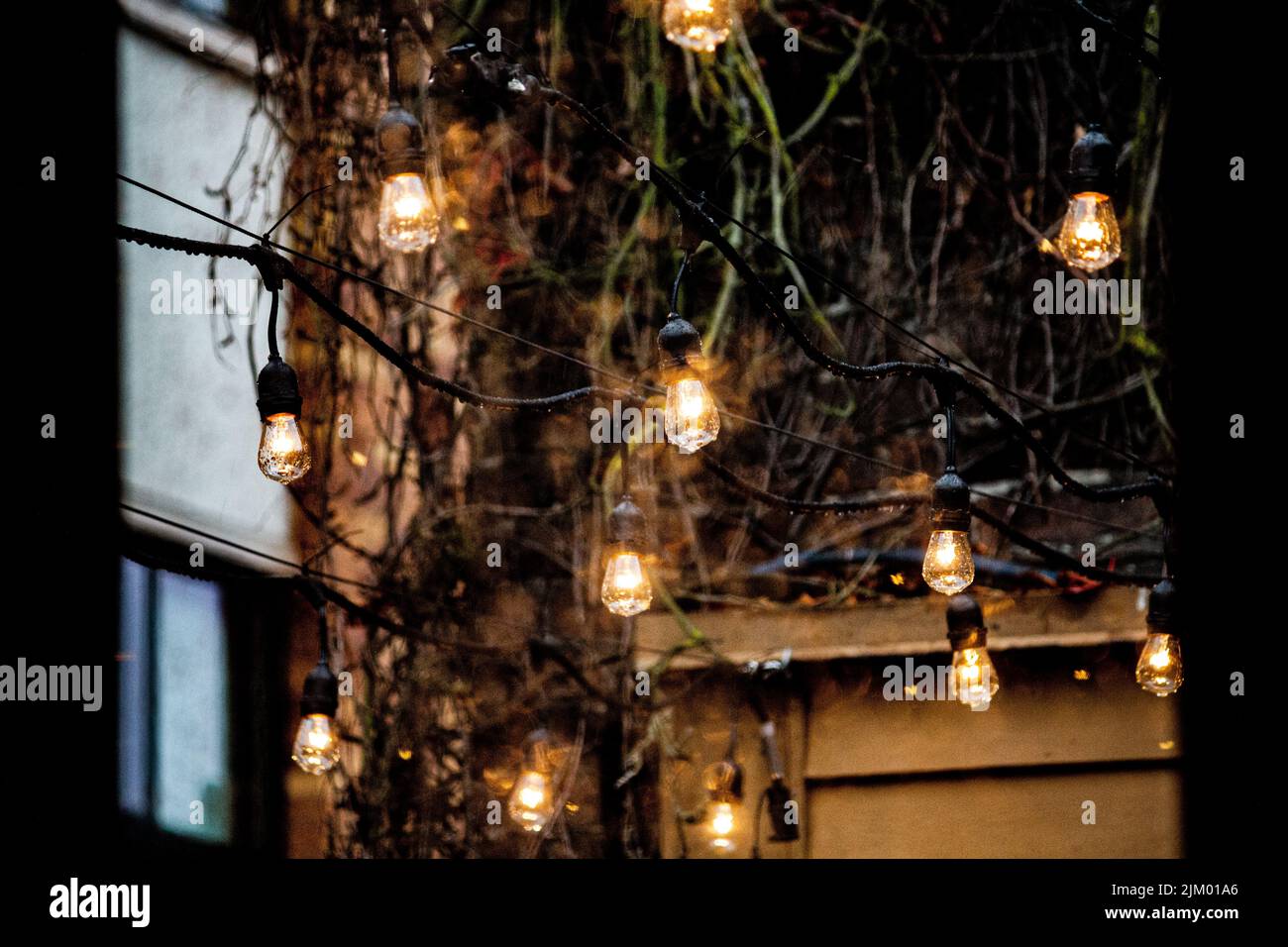 A beautiful lines of lighted lamps under tree in a garden Stock Photo ...