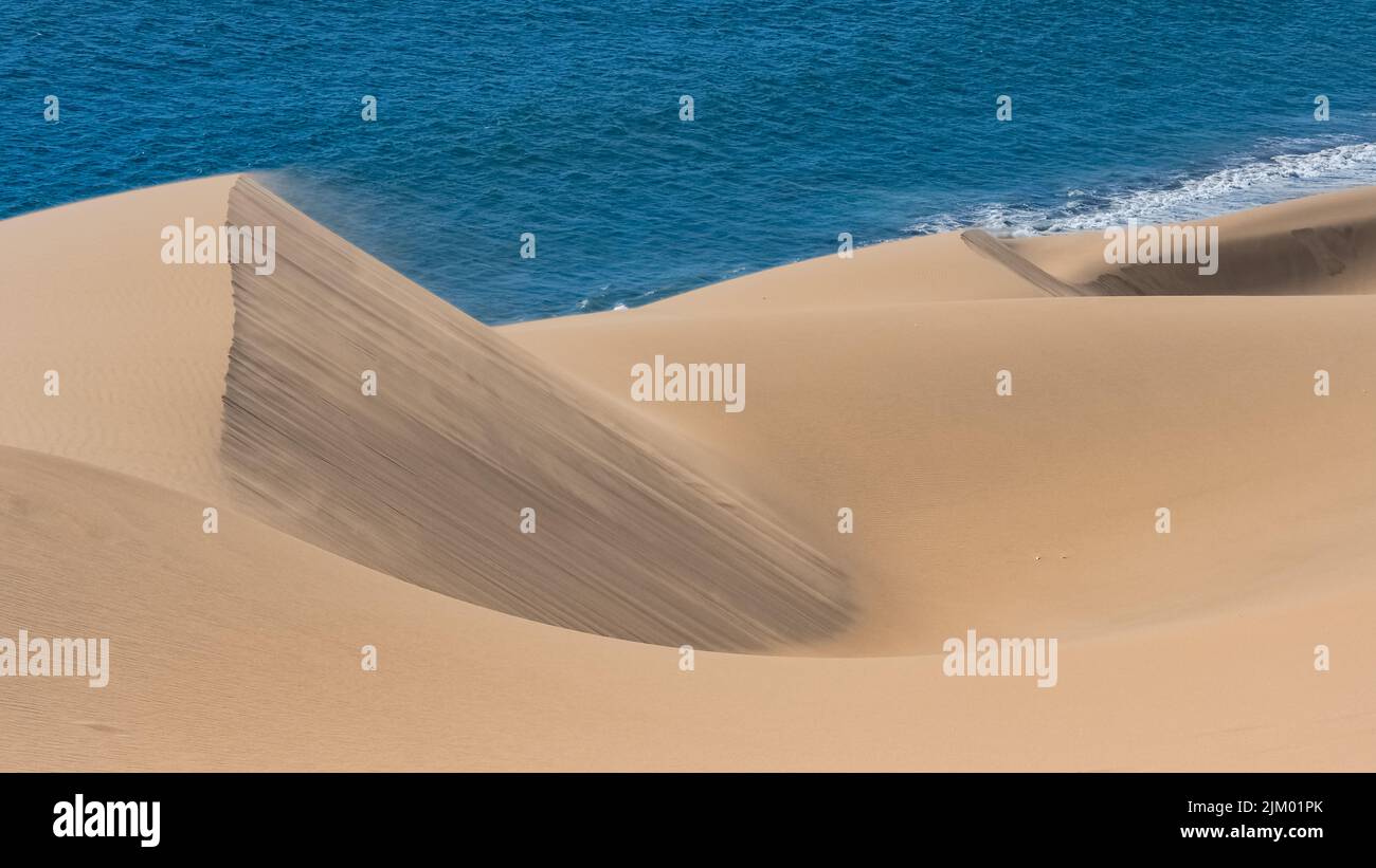 Namibia, the Namib desert, landscape of yellow dunes falling into the ...