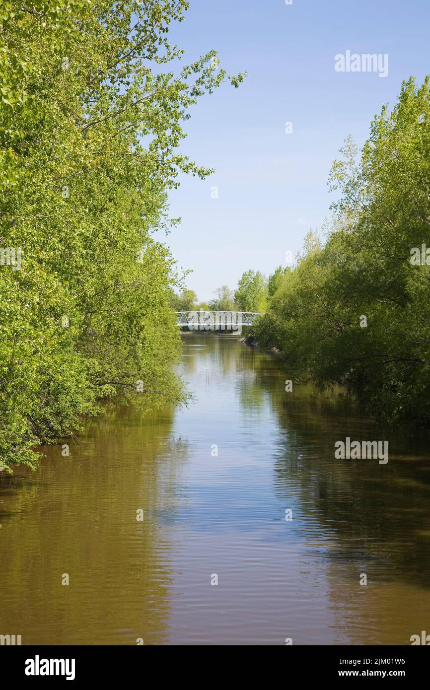 Footbridge over river bordered with deciduous trees in spring Stock ...