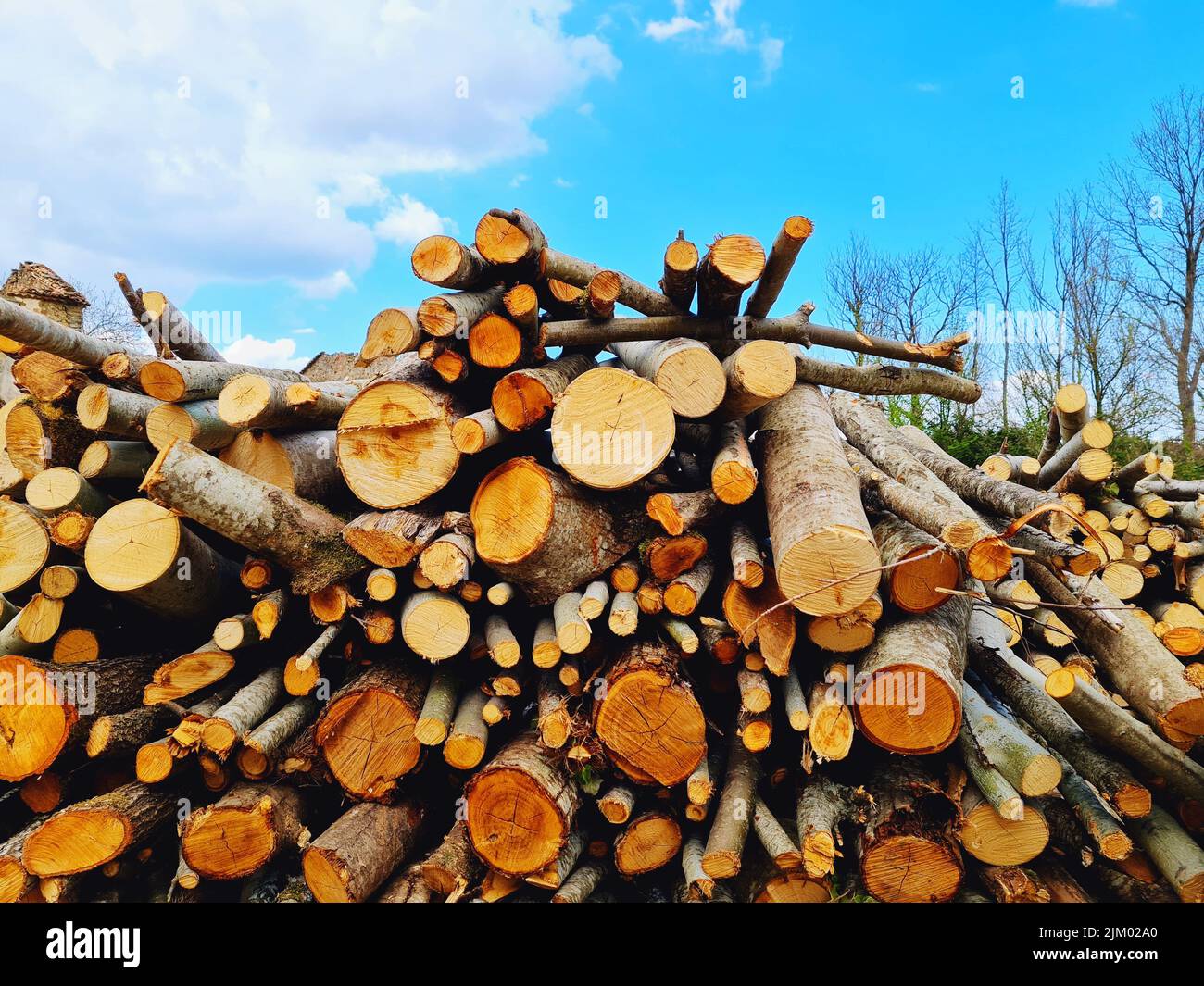 A pile of firewood logs against the sunny sky Stock Photo - Alamy